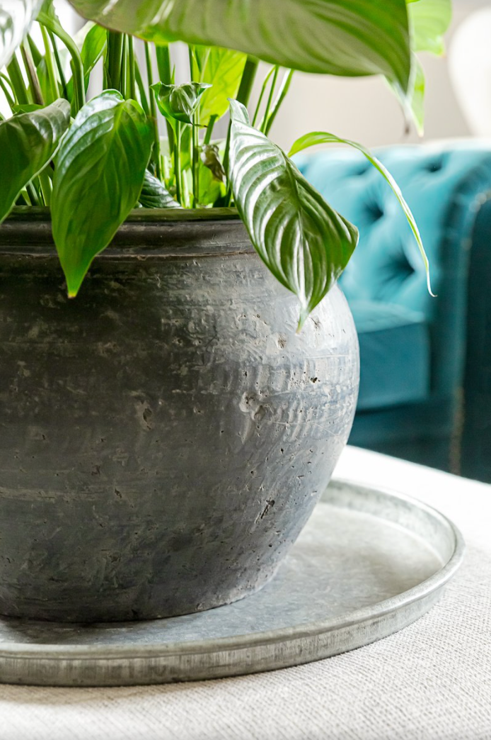 Cumin Pot - 30cm - Cotswold Grey